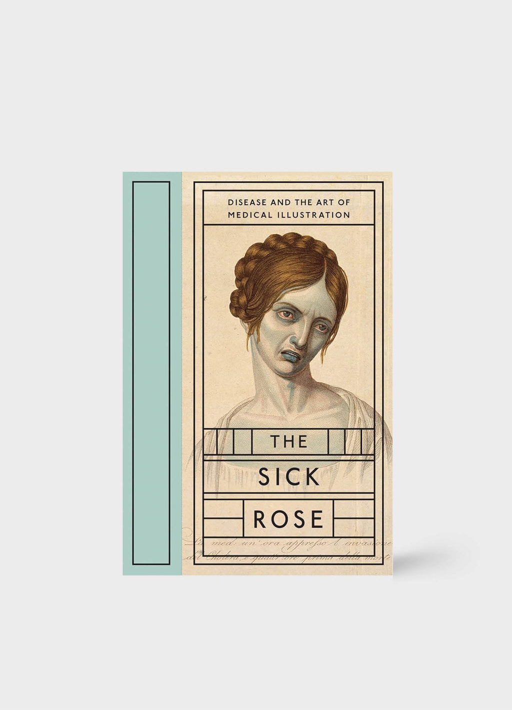 The Sick Rose – THE SHOPKEEPER & CO